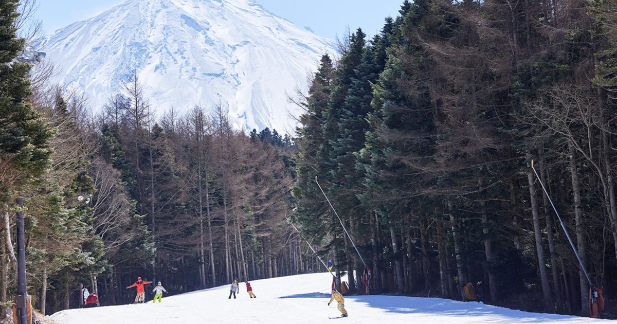 Tokio: Blick auf den Fuji mit Fujiten Snow Fun & Oishi Park Tour ...