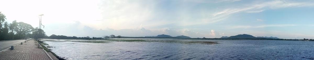 Sri Lanka: Discovery Tour to South Coast to Culture Capital | GetYourGuide