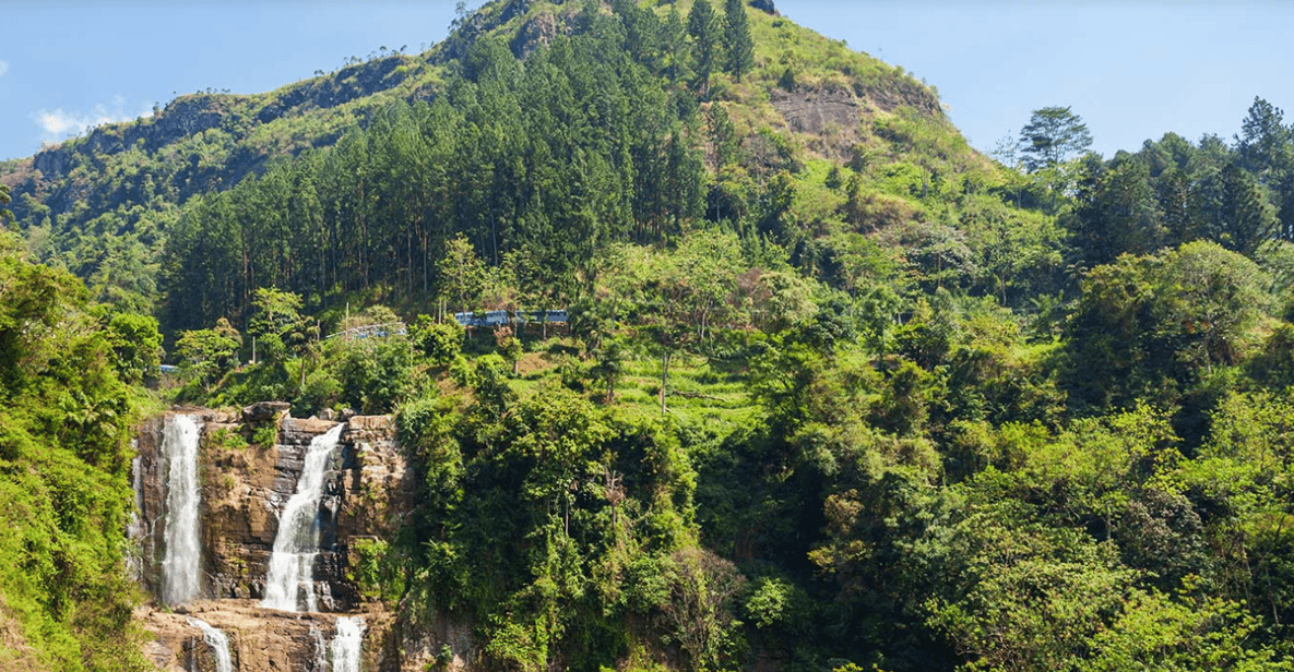 From Kandy: Tea Factory Tour with Ramboda Waterfall Visit | GetYourGuide