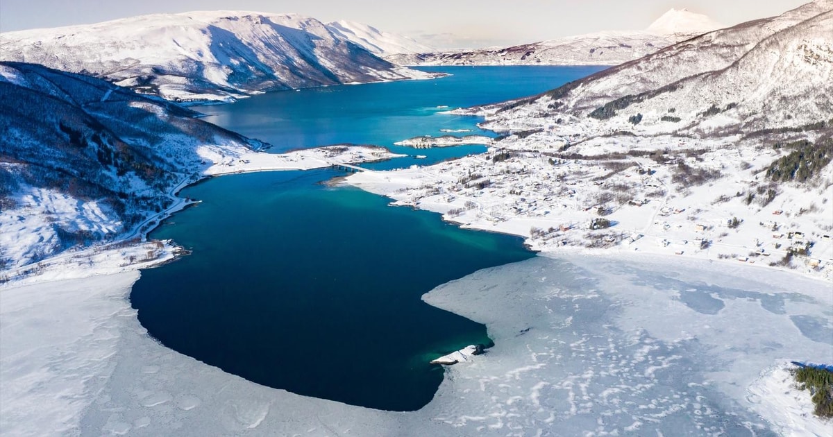 From Kiruna: Narvik City and Fjord Day Trip | GetYourGuide