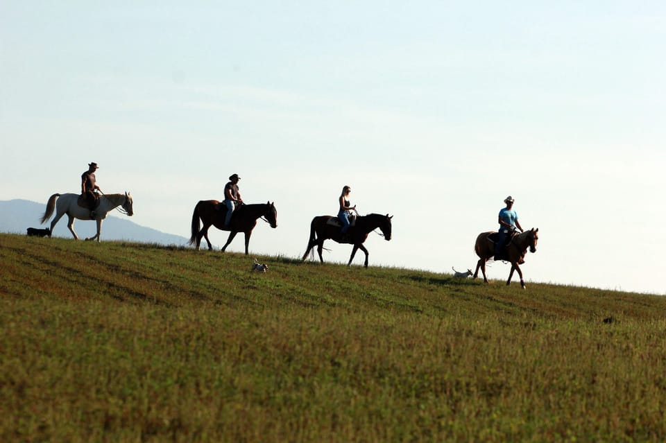 Wild Spring Ranch: Rakovica, Croatia, Horse Riding | GetYourGuide