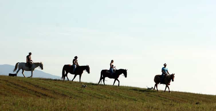 Wild Spring Ranch: Rakovica, Croatia, Horse Riding | GetYourGuide