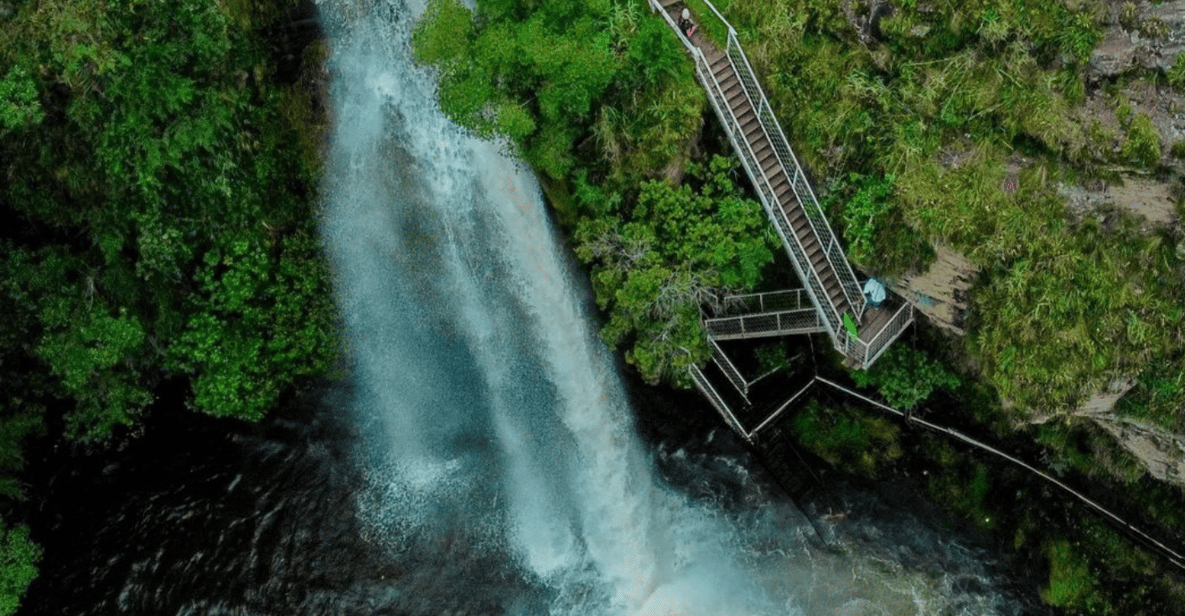 Quito waterfalls: Waterfalls, Horseback Riding, Bees, Canopy | GetYourGuide