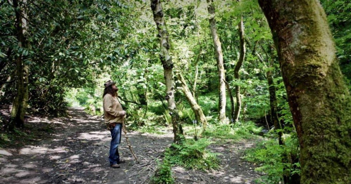 Von Glastonbury aus: Tintagel - Land von König Artus und Merlin ...