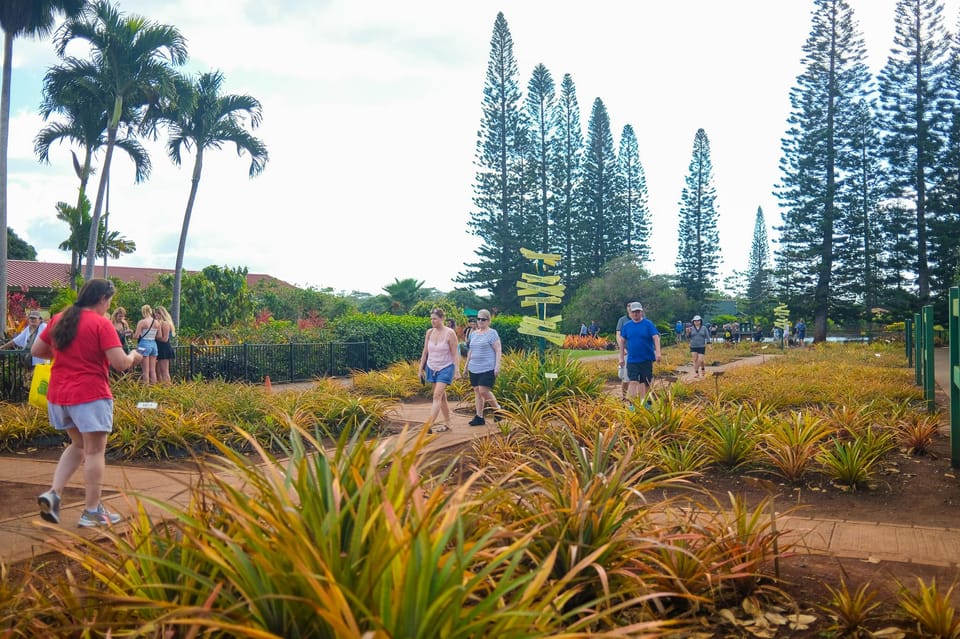 Honolulu: Oahu Island Full-Day Guided Tour by Bus with Lunch | GetYourGuide