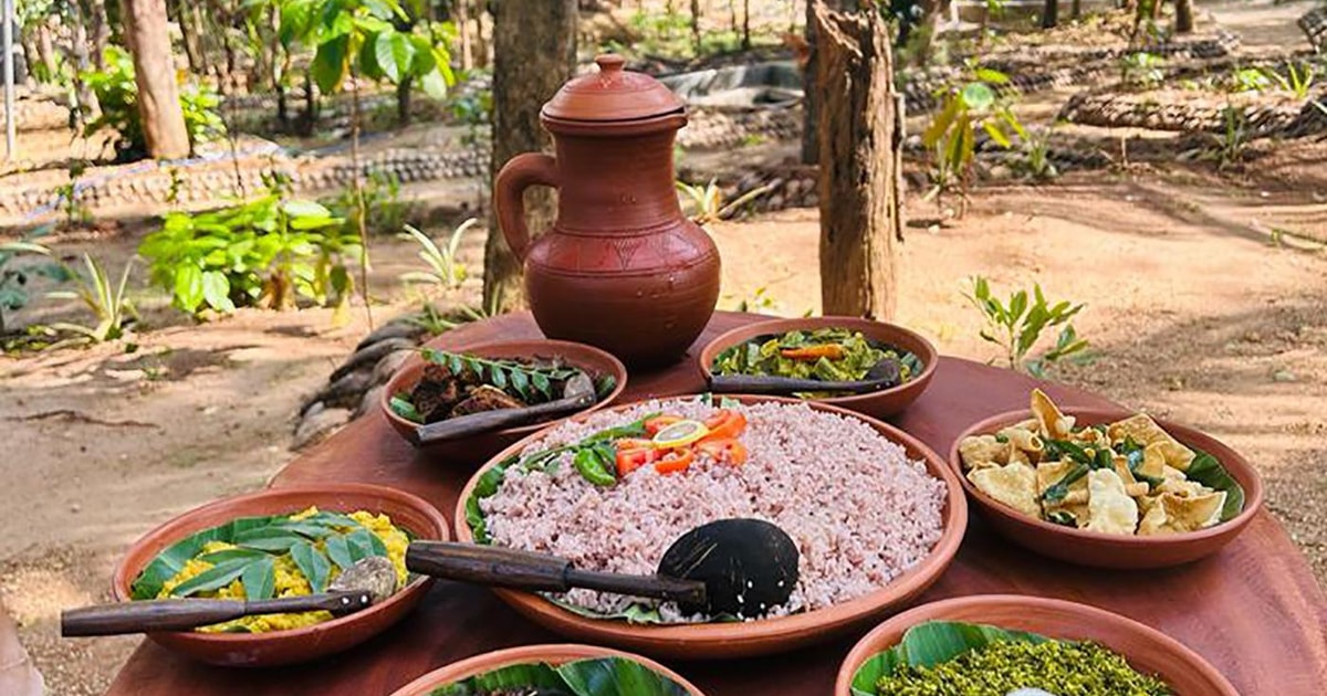 Sri Lankan Traditional Cooking Workshop & Meal at Udawalawa | GetYourGuide
