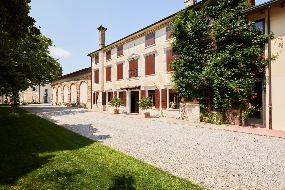 Veneto: Vineyard Tour with Wine Tasting | GetYourGuide