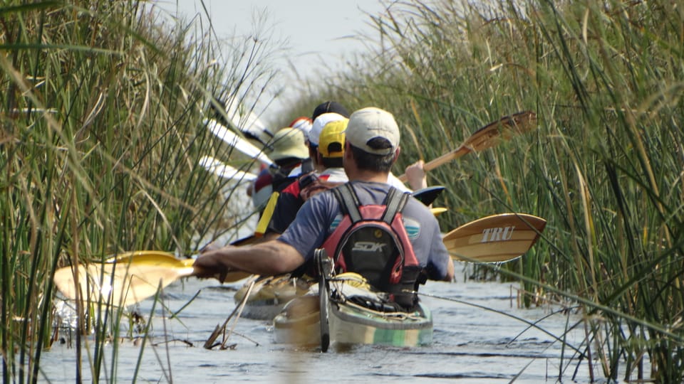 Tru Kayak - Crossing through the majestic Uruguay River | GetYourGuide