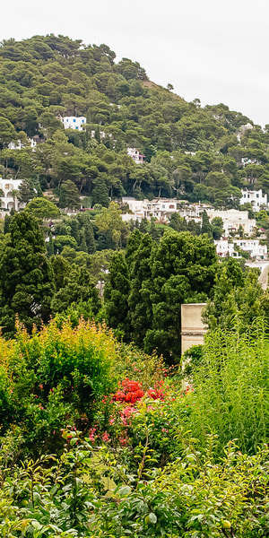 From Naples: Capri and Blue Grotto Day Tour | GetYourGuide