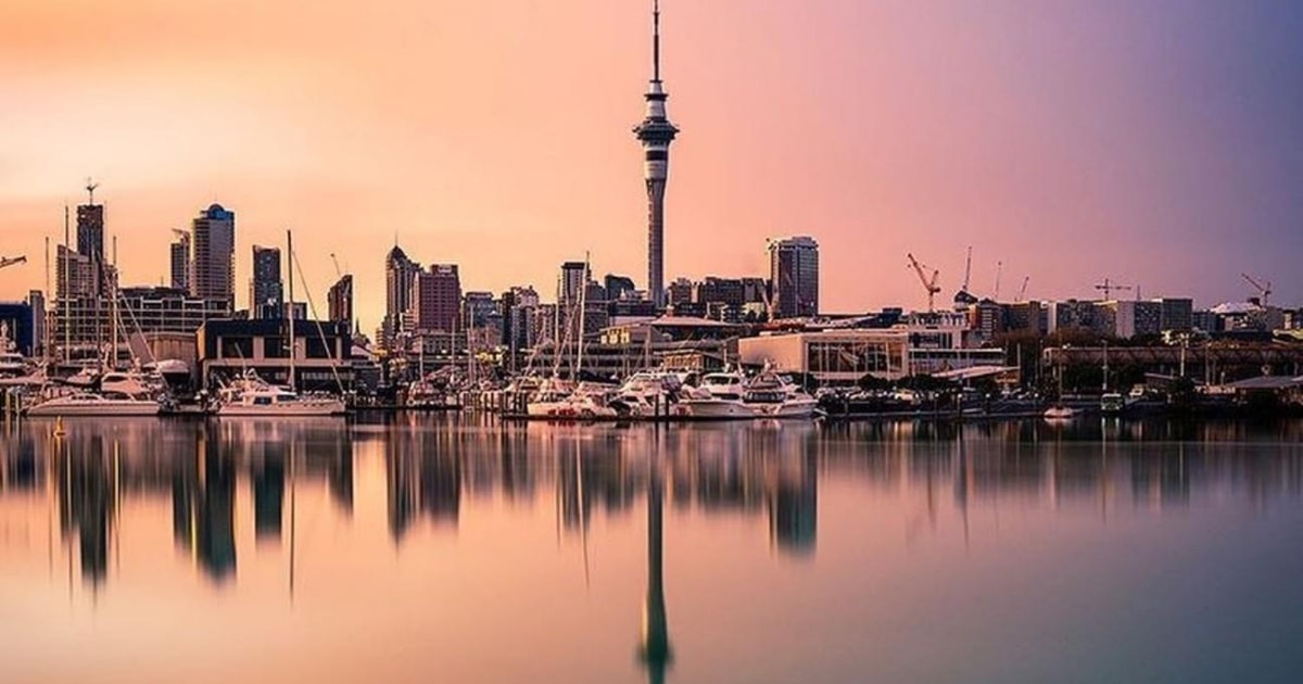 Auckland City Highlights Full Day Tour | GetYourGuide