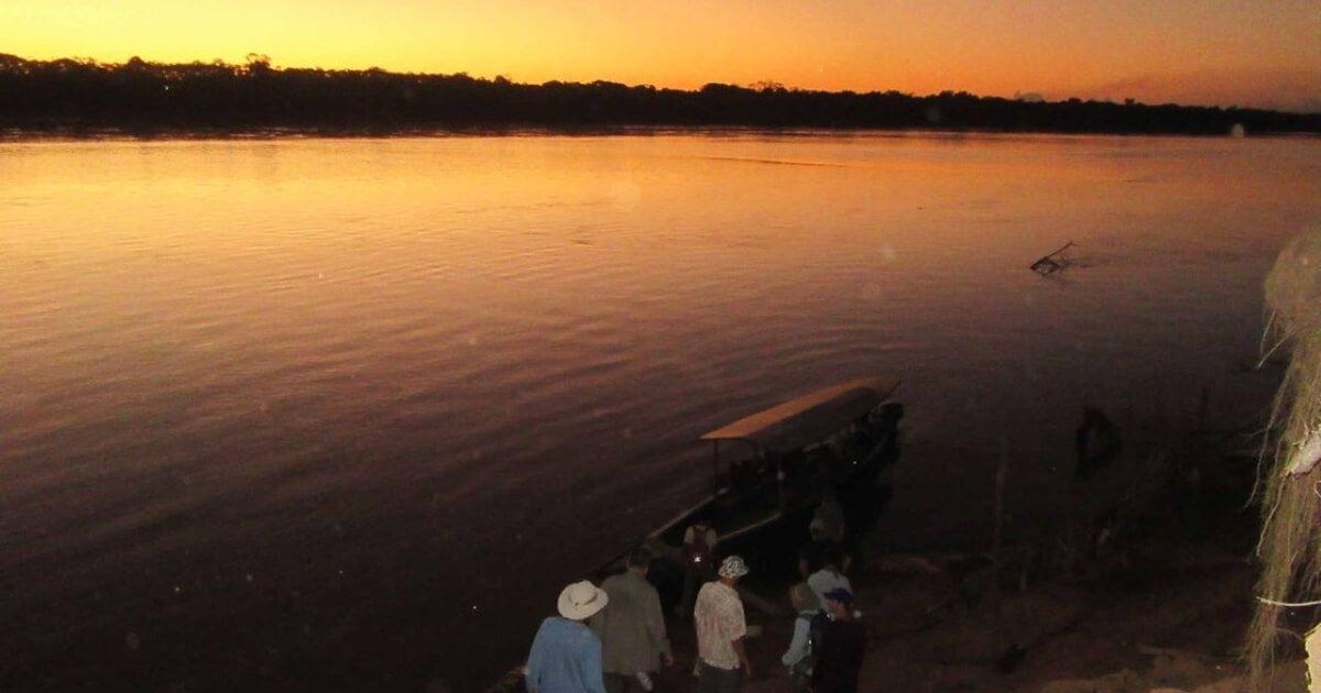 Night hiking through the Amazon rainforest | GetYourGuide