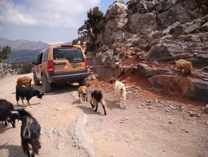 Crete: Full-Day Private Tour | GetYourGuide