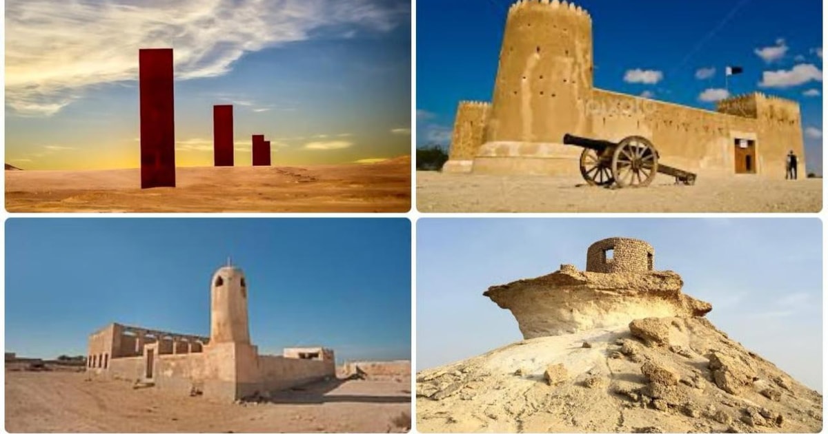Doha: North and West Coast of Qatar Full Day Tour | GetYourGuide