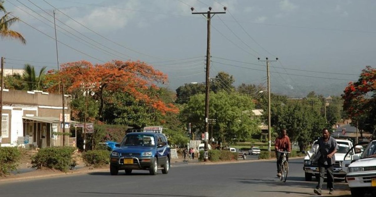 Full-Day Moshi Private Forest Walk and Local Market Tour | GetYourGuide