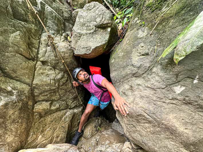 El Yunque Rainforest Tour Hike and Waterslide Adventure | GetYourGuide