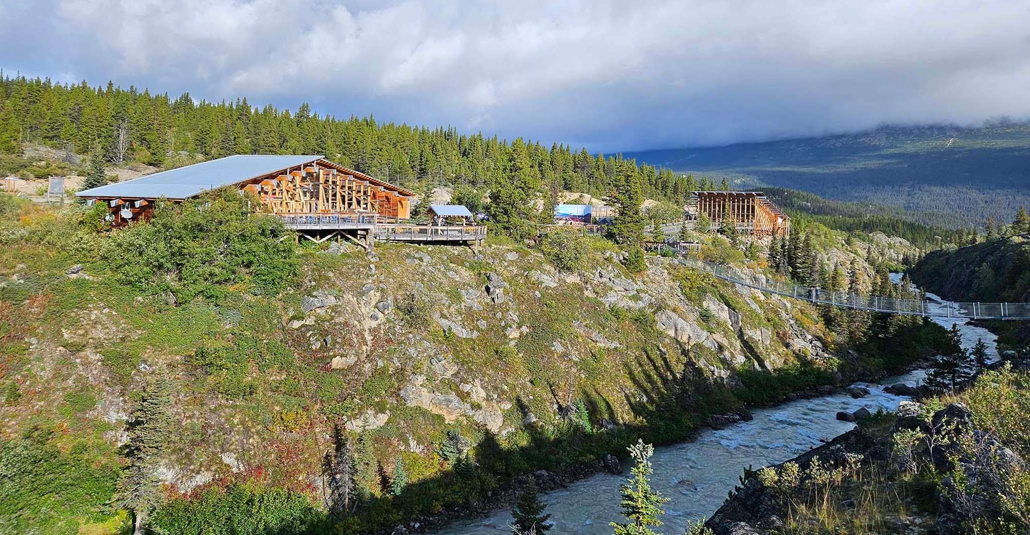 From Skagway, White Pass and Yukon Suspension Bridge Tour | Guided Tour ...