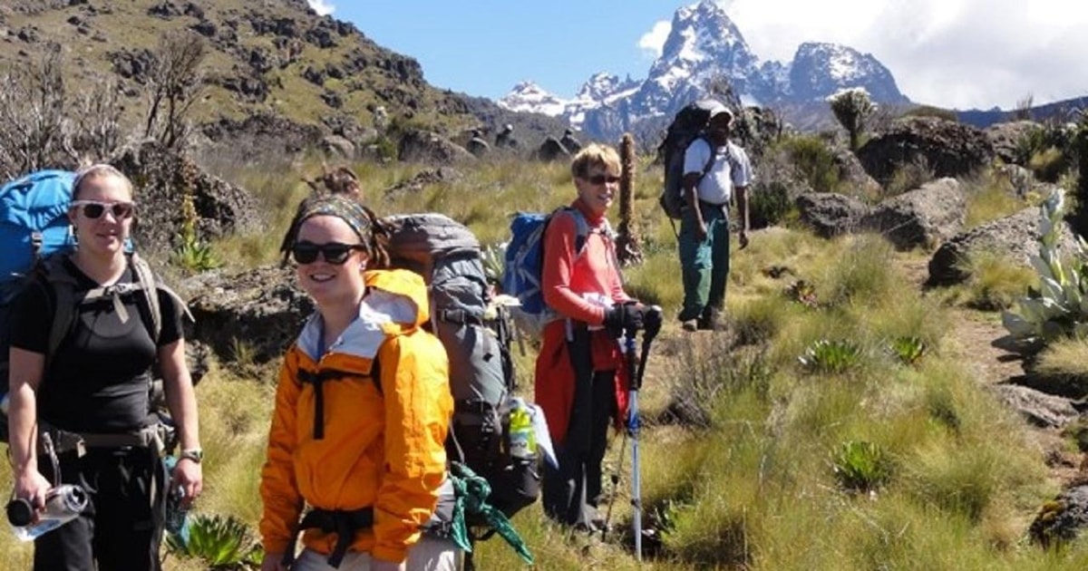 From Nairobi: Mount Kenya National Park Hike with Lunch | GetYourGuide