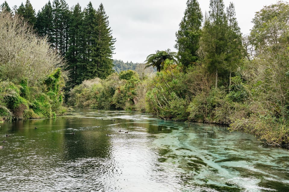 Rotorua: 'Off The Beaten Track' Geothermal Day Tour | GetYourGuide