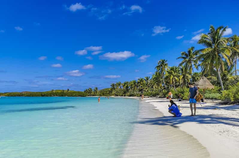 Isla Contoy, Isla Mujeres - Reserva de entradas y tours | GetYourGuide