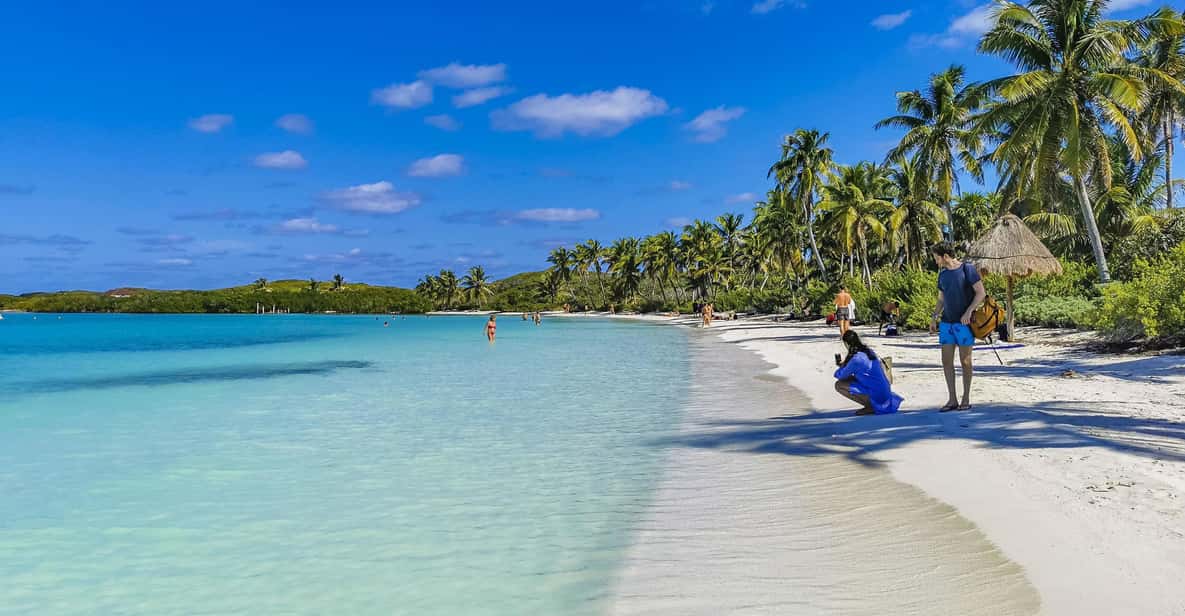 Isla Contoy | GetYourGuide