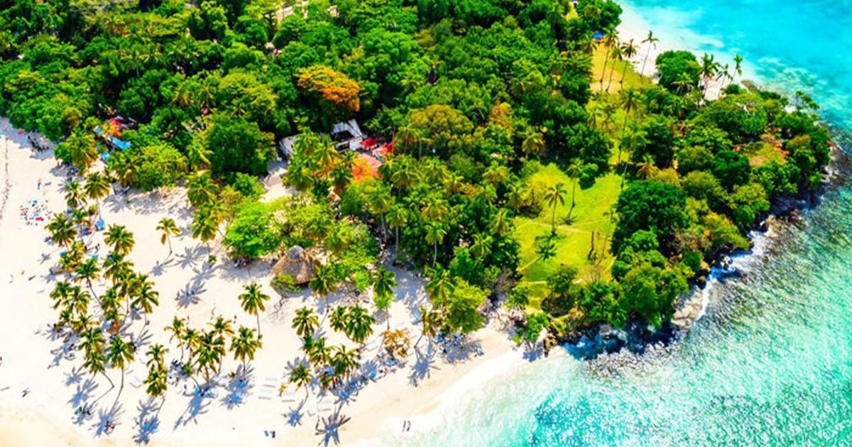 Punta Cana: Samana, Bacardi Adası ve El Limon Günübirlik Turu ...