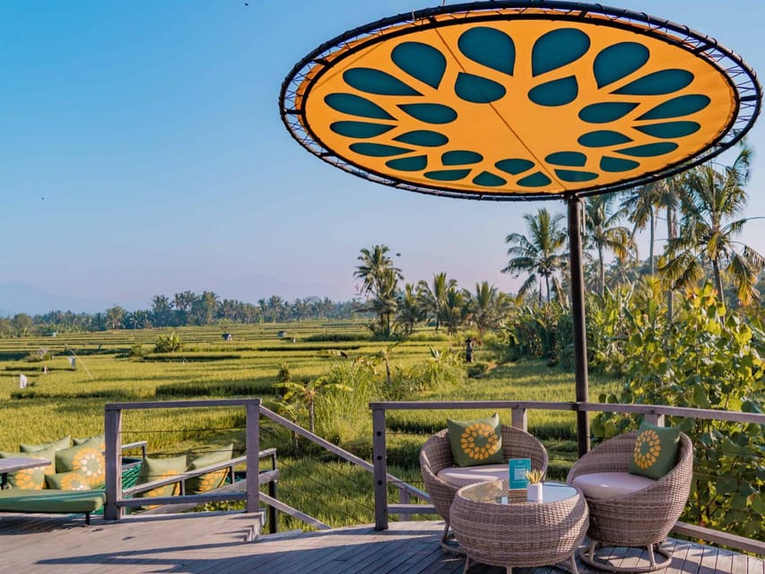 Ubud: 850cc Atv Quad Adventure with Cretya Pool and Lunch | GetYourGuide
