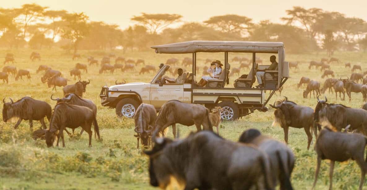 3-Day The Famous Maasai Mara - Mid-Range | GetYourGuide