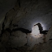 Zanzibar: Tazari Cave Guided Tour | GetYourGuide