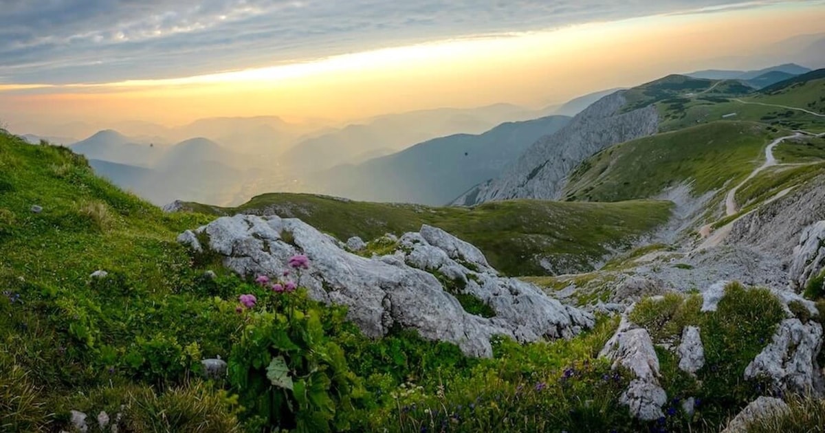 Wien: Private Tagestour zum Schneeberg und zum Neusiedler See ...