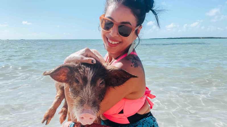 Progreso: Isla Columpios and Pig Beach Club Day Pass | GetYourGuide