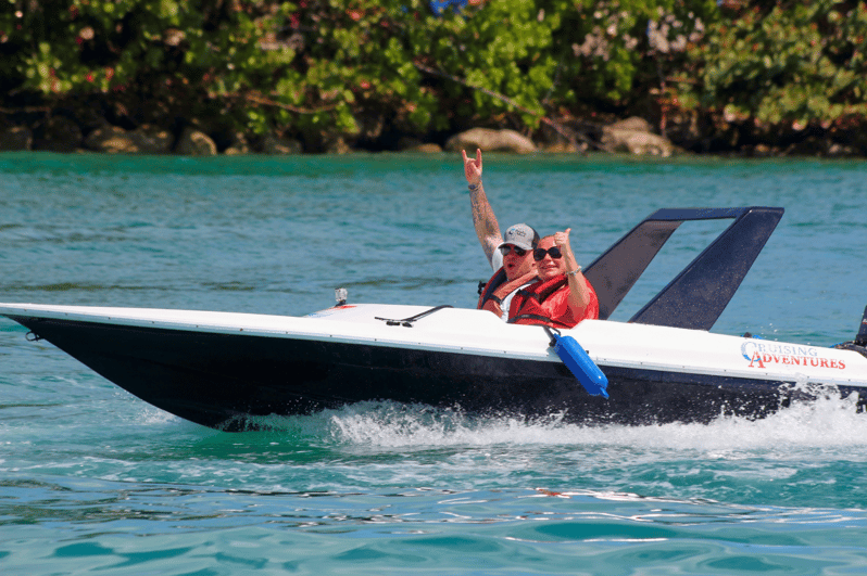 Nassau: Self-Drive Speedboat Ride and Pig Swimming Encounter | GetYourGuide