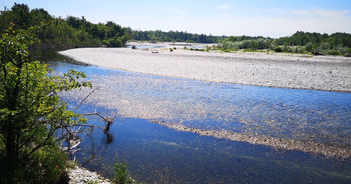Milan: Escape from the City to the Ticino Park - La Fagiana Reserve ...