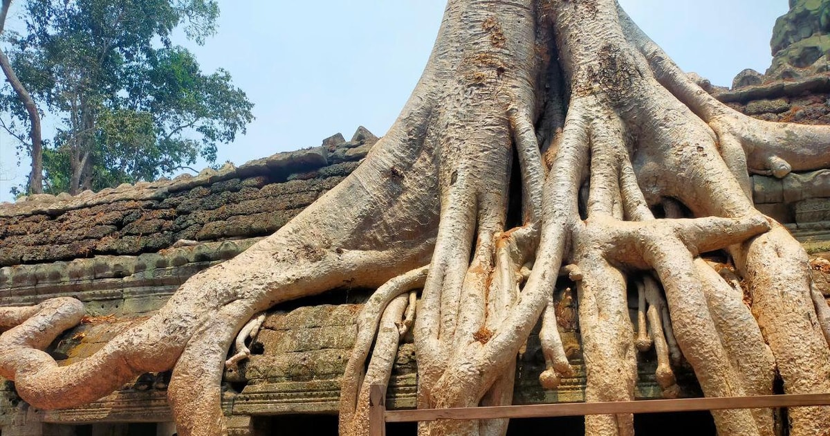 Angkor Wat: Highlights Sunrise Group Tour in Angkor complex | GetYourGuide
