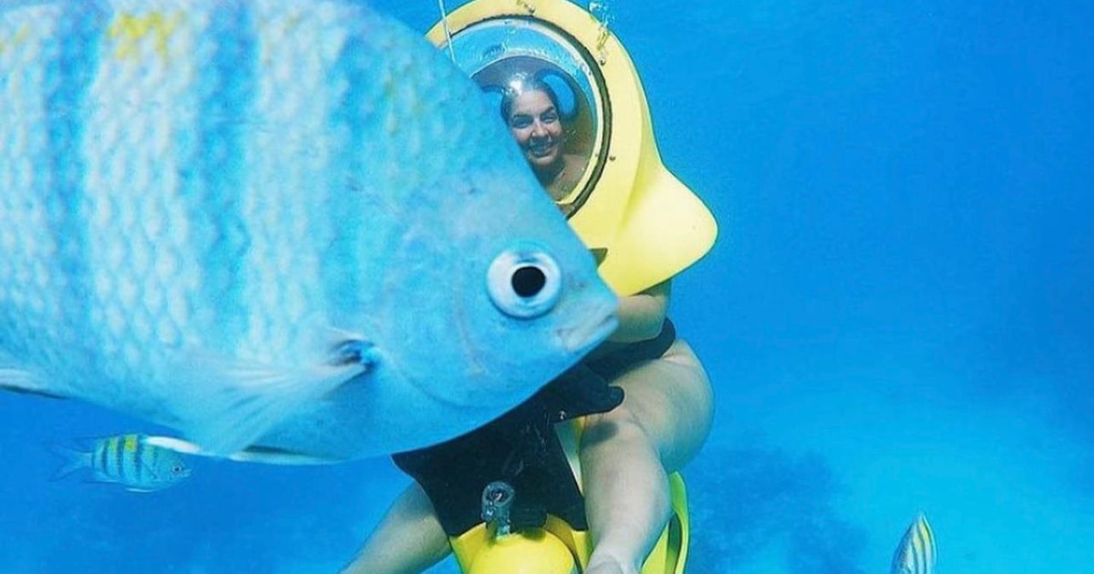 Scuba Doo: Oplev Punta Canas marine liv på en sjov måde | GetYourGuide
