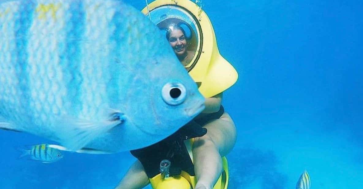 Punta Cana Scuba Doo: Entdecke das Meeresleben auf spielerische Art ...
