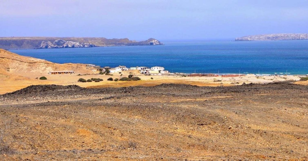 Da Piura || Escursione di un'intera giornata a Paita e Colán | GetYourGuide