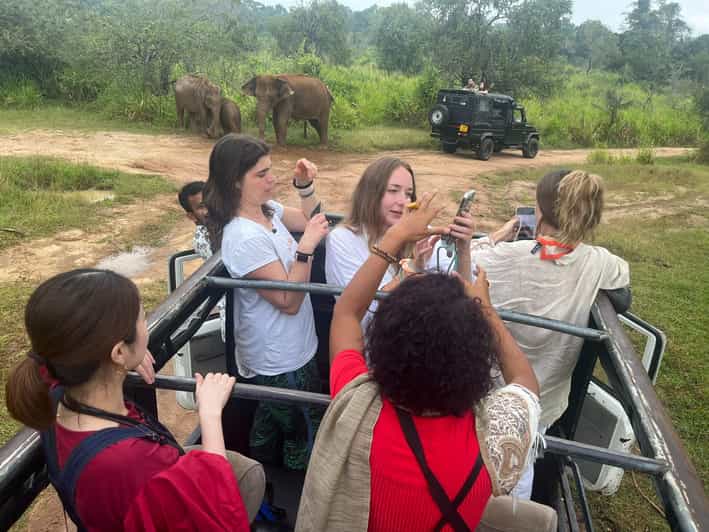 VIP All Inclusive Sigiriya Dambulla & National Park Tour | GetYourGuide