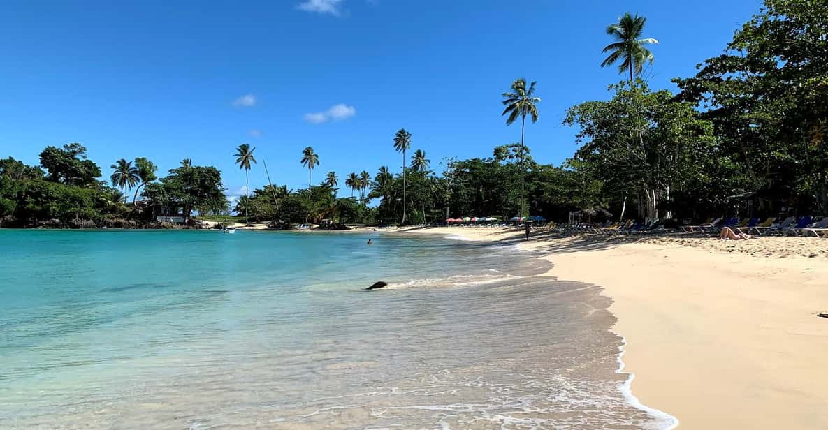 Samana: 3 hrs. ATV Tour Transportation Included. | GetYourGuide