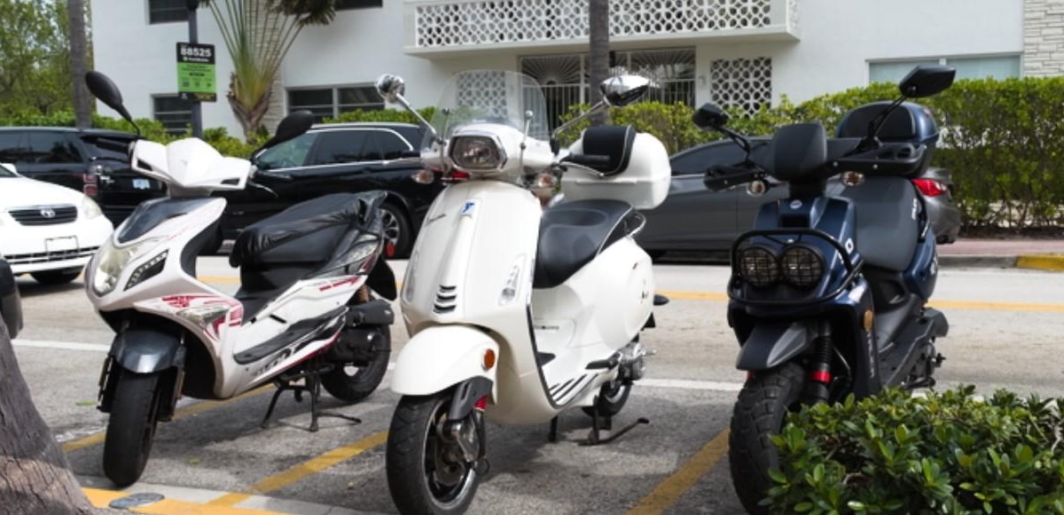 Scooter Bayisi Miami - South Beach | GetYourGuide