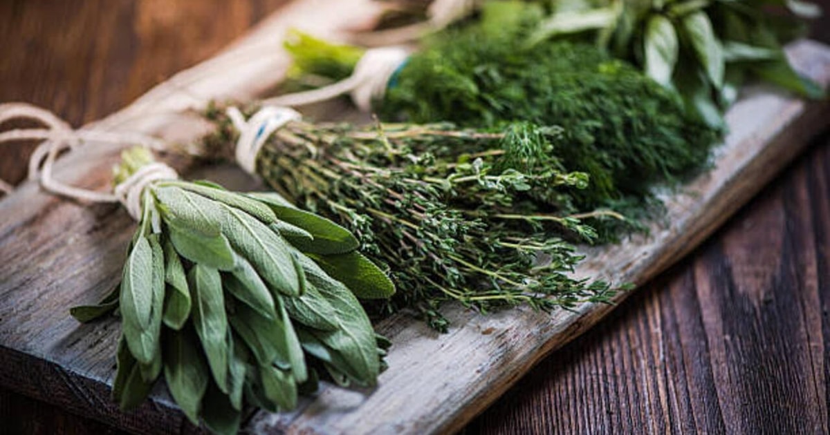 Zanzibar: Healing and Herbal Medicine Tour | GetYourGuide