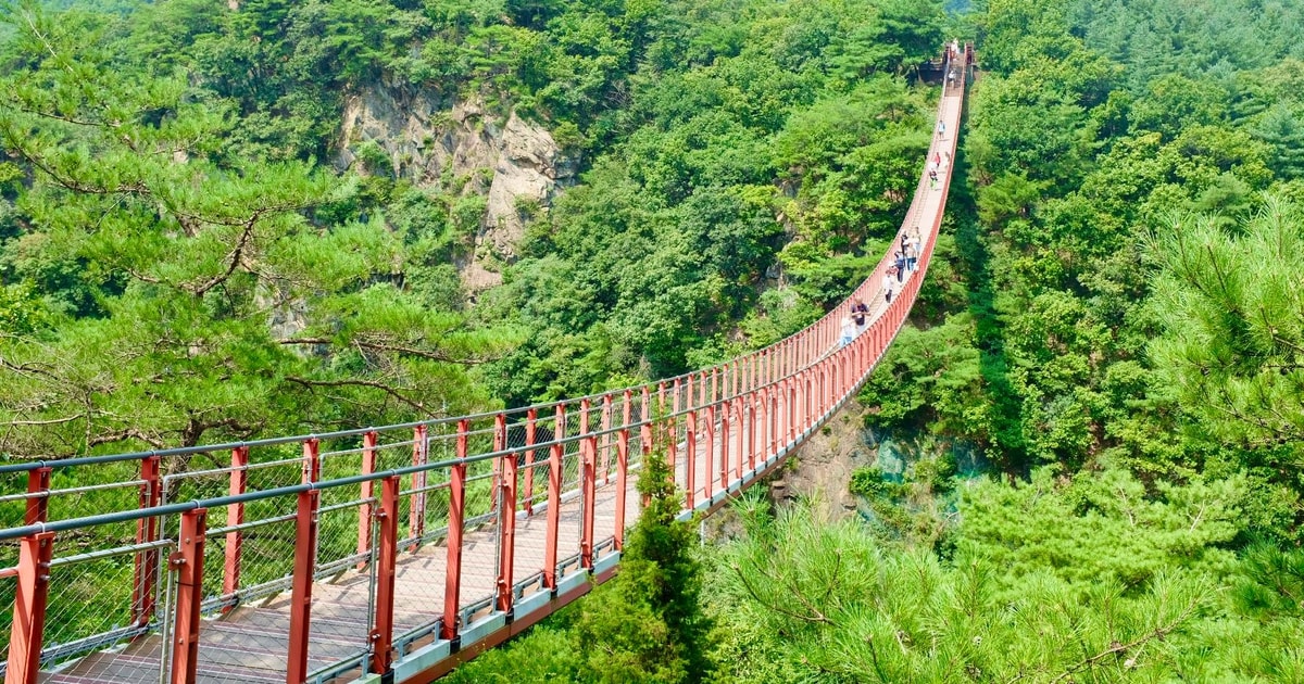 Da Seul: Tour del terzo tunnel e del ponte sospeso della DMZ | GetYourGuide