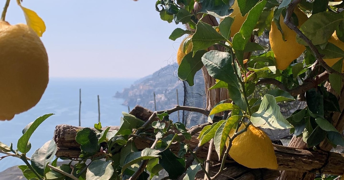 Path of Lemons Trekking Shared Tour from Salerno | GetYourGuide