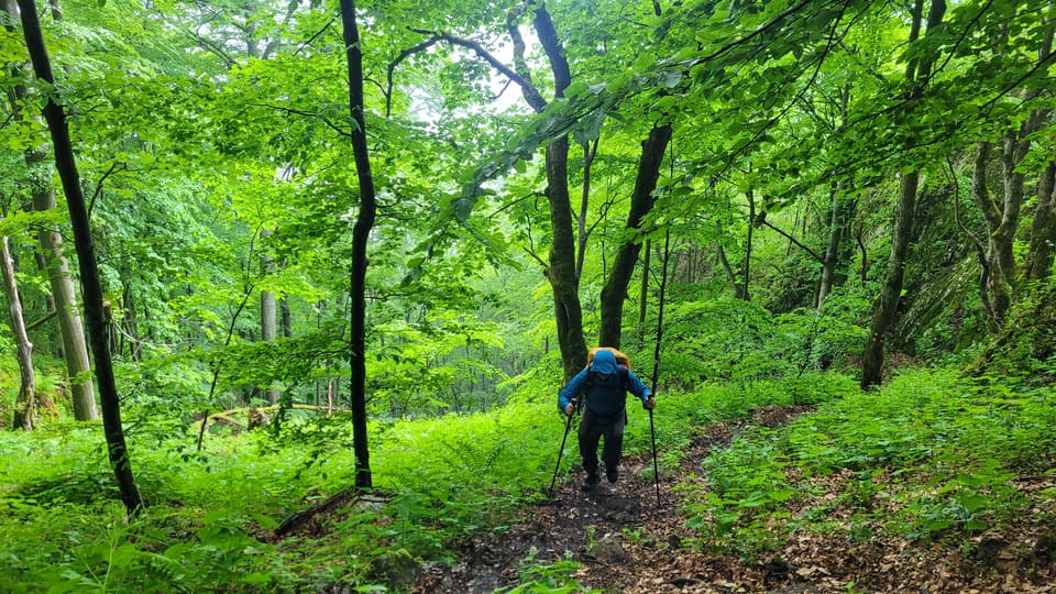 From Cluj-Napoca: Apuseni Mountains Hiking Guided Day Tour | GetYourGuide
