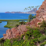 Sonora: Tour of the beach and viewpoint of San Carlos | GetYourGuide