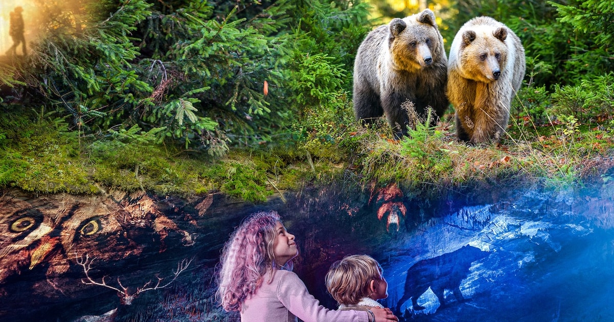 Ardeny: Bilet wstępu do Caves of Han i Wildlife Park | GetYourGuide