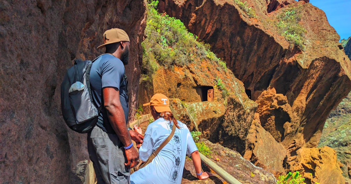 Tenerife: Excursión de Senderismo por las Montañas de Anaga y el Bosque ...