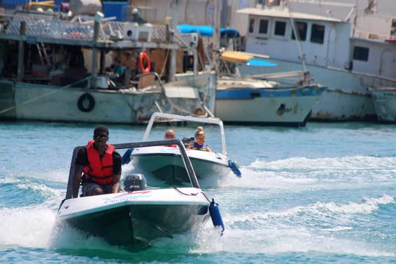 Nassau: Self-Drive Speedboat Ride and Pig Swimming Encounter | GetYourGuide