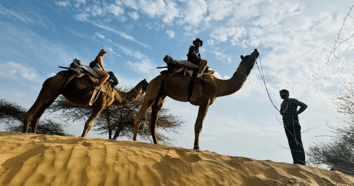Jodhpur Camel Safari With Traditional Food With Sumer | GetYourGuide