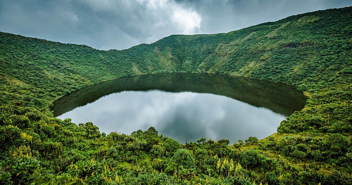 Park Narodowy Wulkanów: jednodniowa wycieczka piesza do Bisoke ...