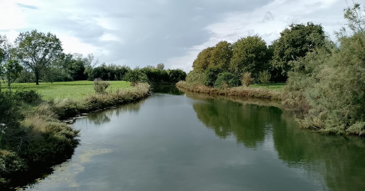 Murano Burano Torcello: een tocht met een traditionele boot en ...